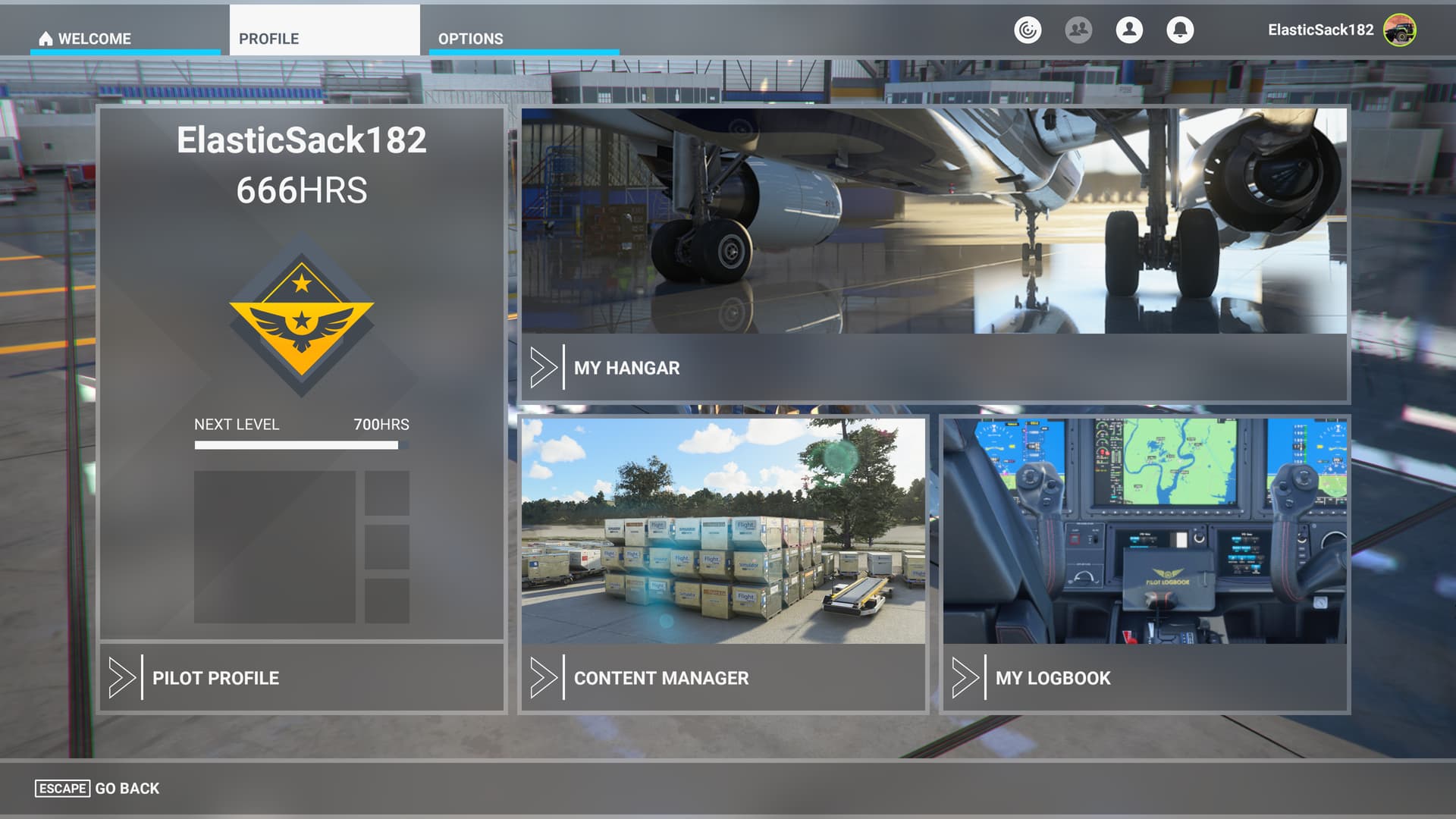 How many hours have you flown so far? - #436 by ElasticSack182 ...