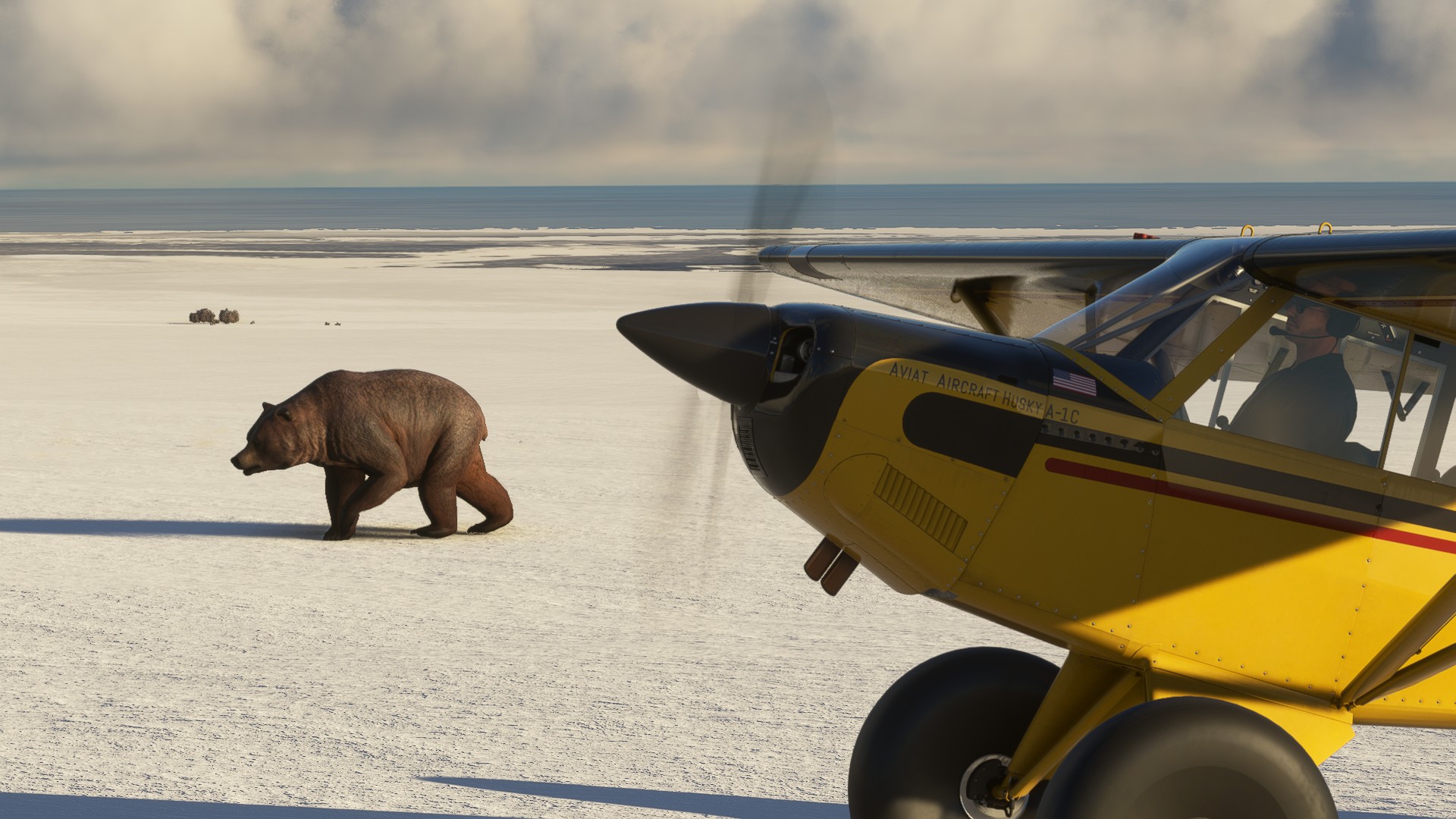 Random Screenshot Megathread 3 - #3313 by Jigsaw407 - World Discovery ...