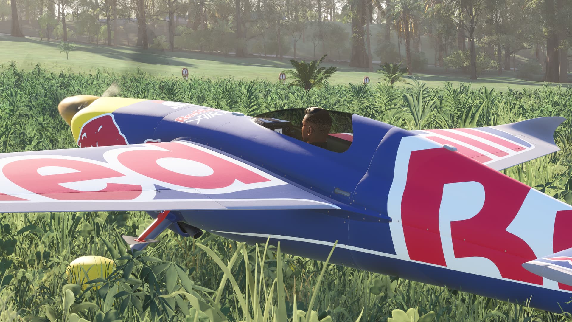 Animated cows :) - Wishlist - Microsoft Flight Simulator Forums