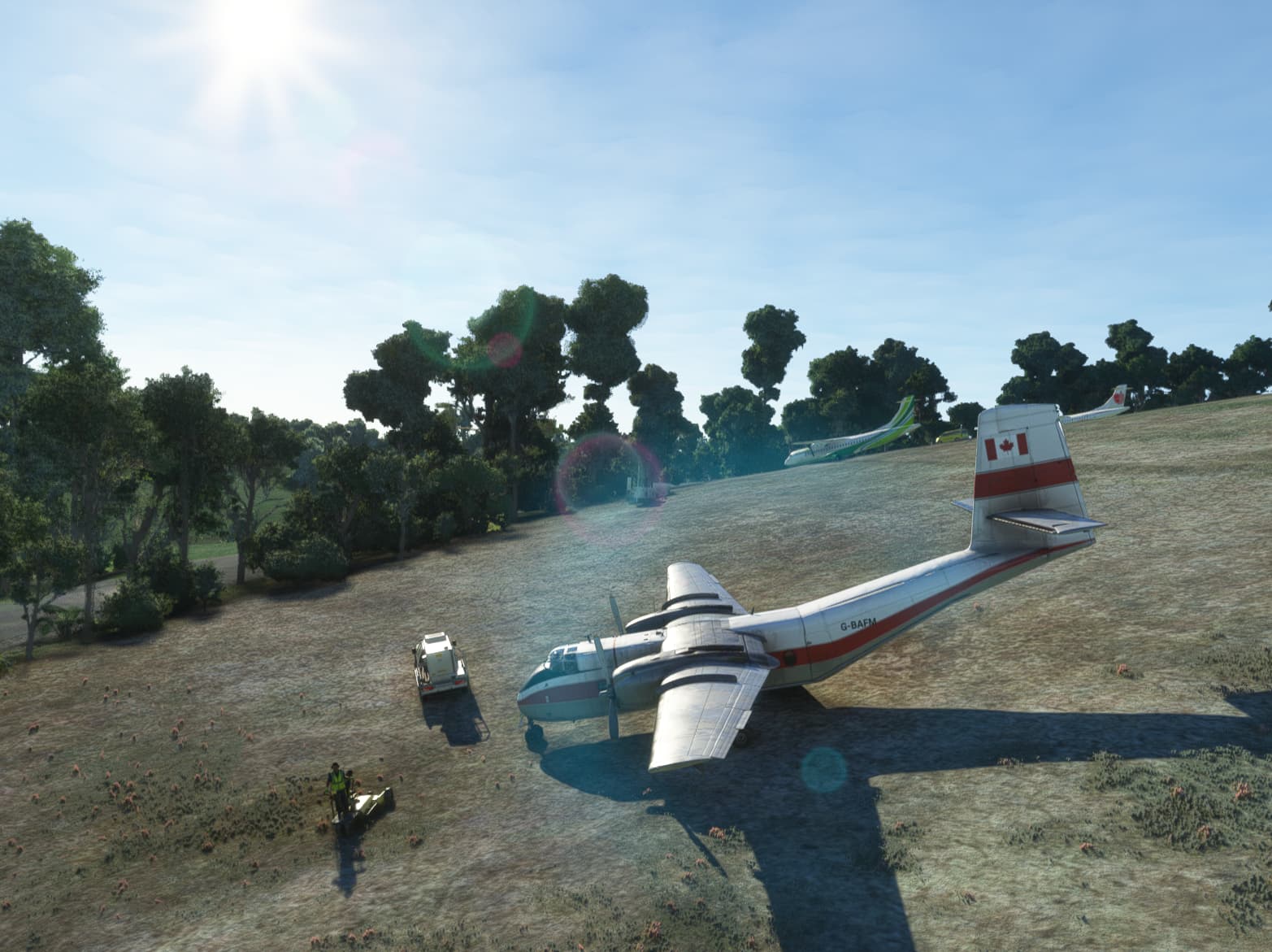 Fly hangs but can do discovery flights - Tech Support - Microsoft ...