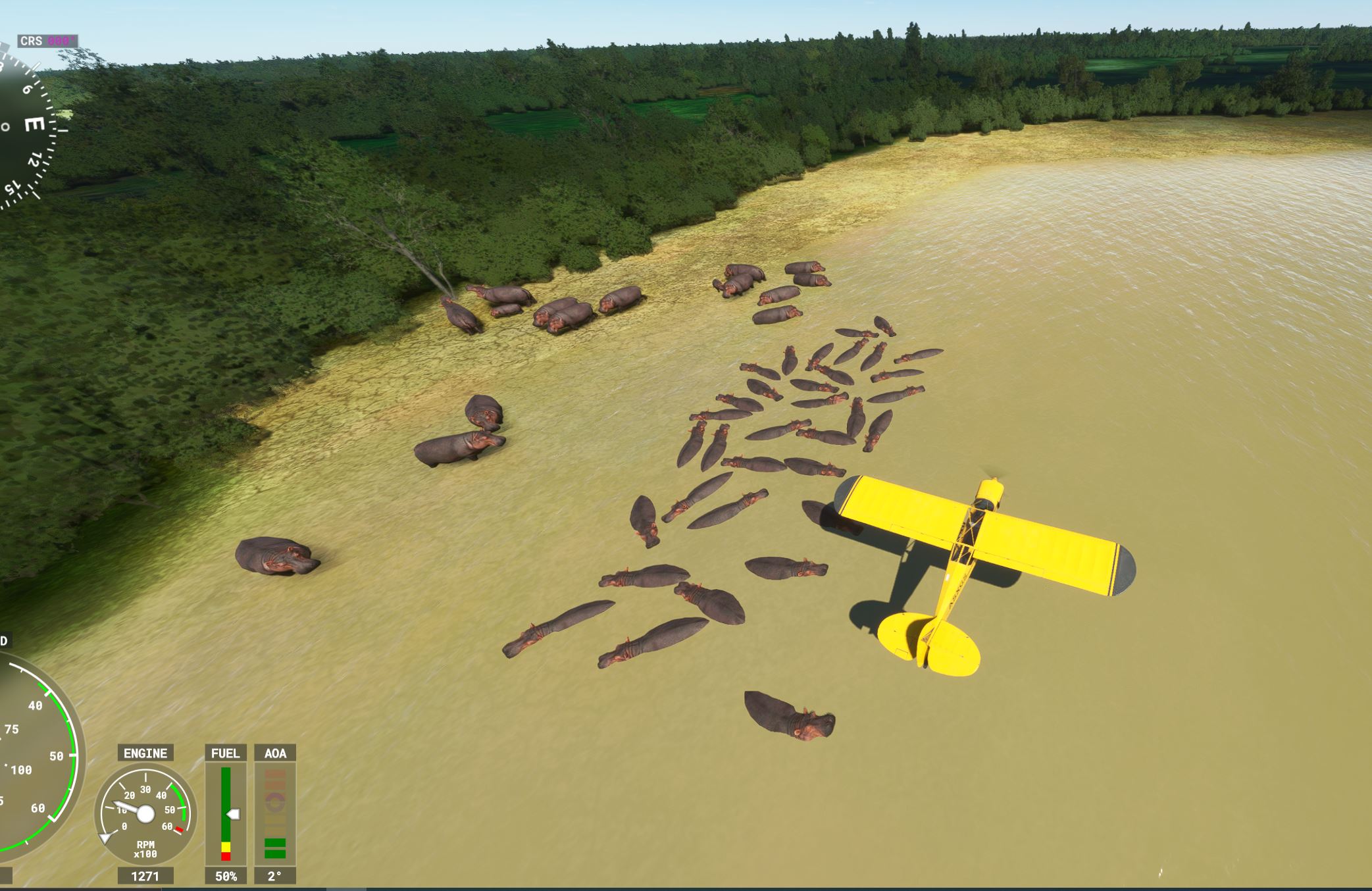 Safari animals in Africa - Screenshots - Microsoft Flight Simulator Forums