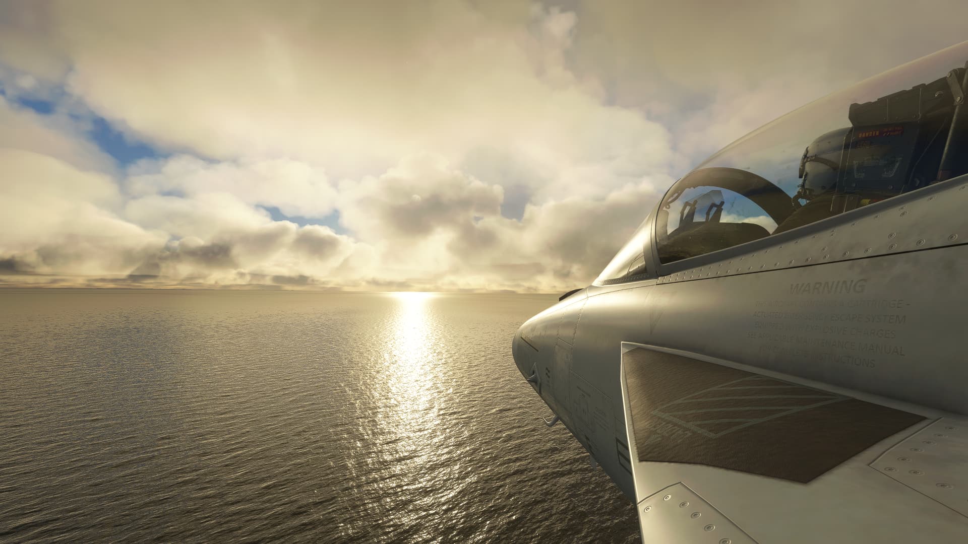 F/A 18 afterburner - General Discussion - Microsoft Flight Simulator Forums