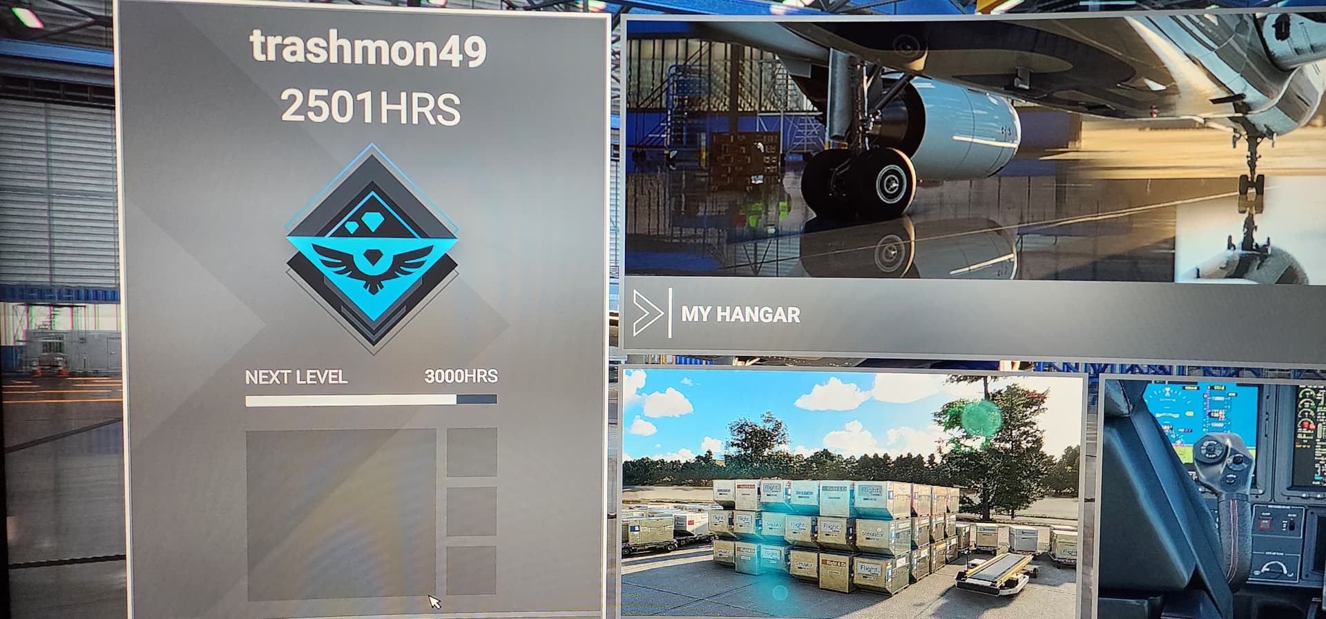 How many hours have you flown so far? - #529 by trashmon49 - General ...