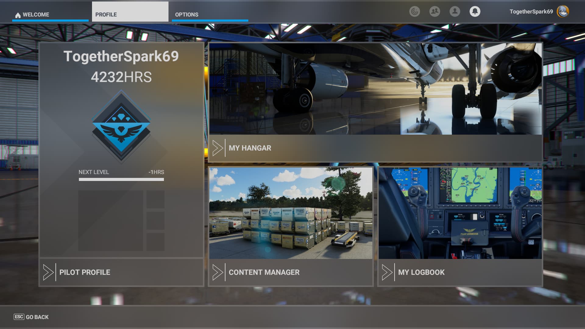 How many hours have you flown so far? - #674 by RagingWombat839 ...