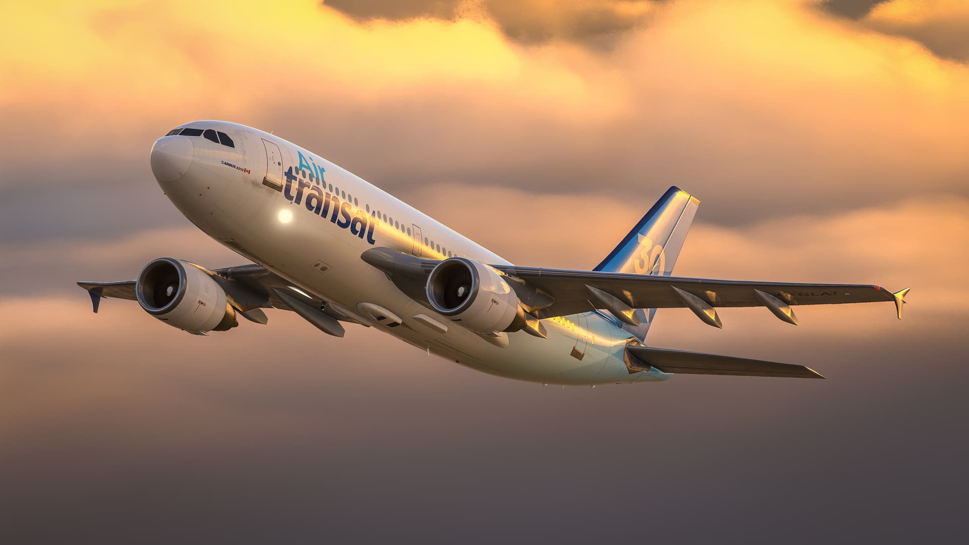 Inibuilds Airbus A310-300 Marketplace BRAVOAIRSPACE liveries - Aircraft ...