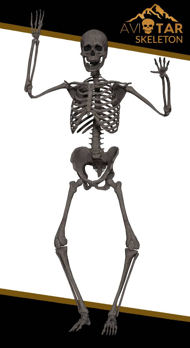 [RELEASED] Avitar Series | Got Friends - Page 6 - Aircraft - Microsoft ...