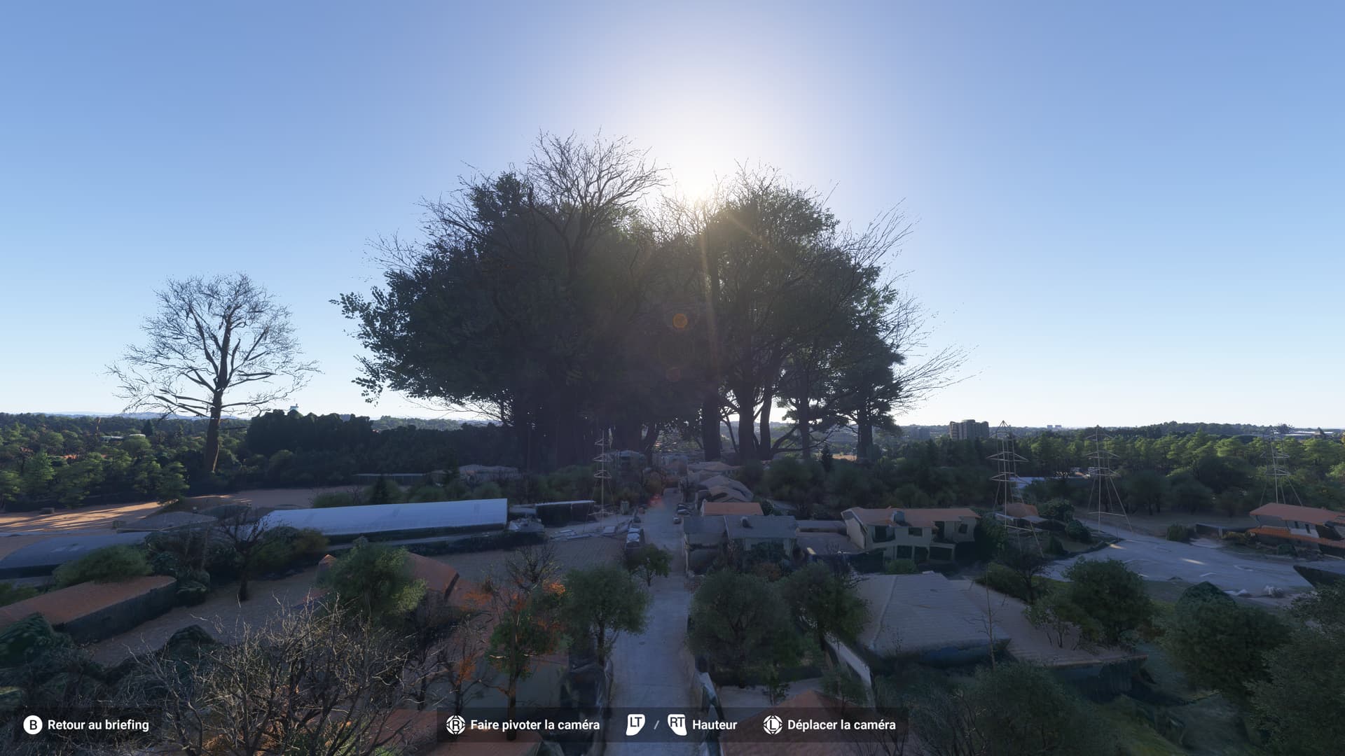 MSFS 2024 Giant tree bug near LPPR Porto - Scenery and Airports ...