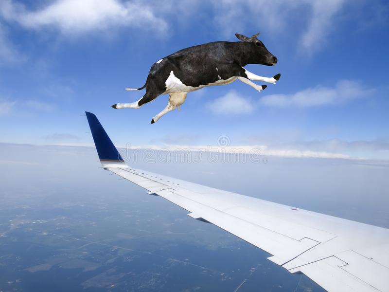 Cowflaps? - Miscellaneous - Microsoft Flight Simulator Forums