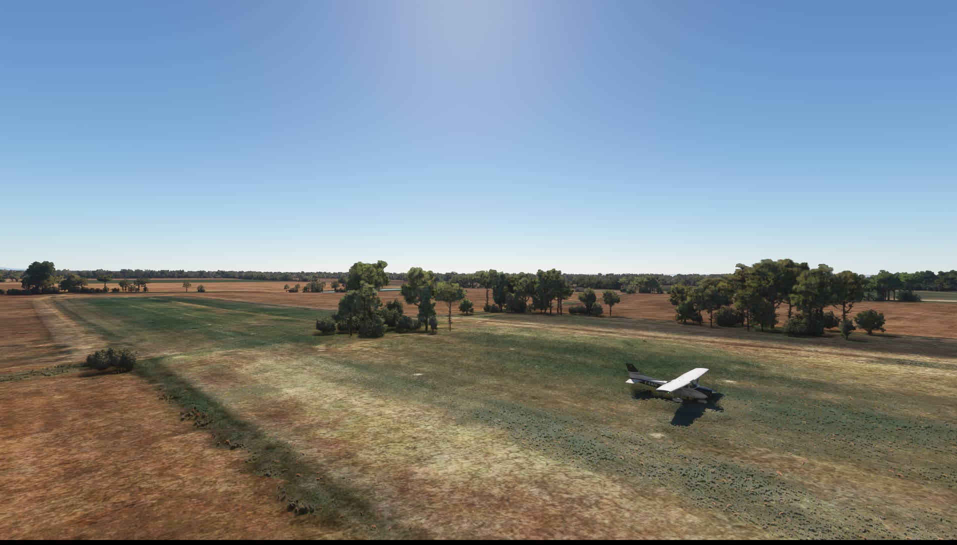 LIMV - tree in the middle of the runway - Scenery and Airports ...