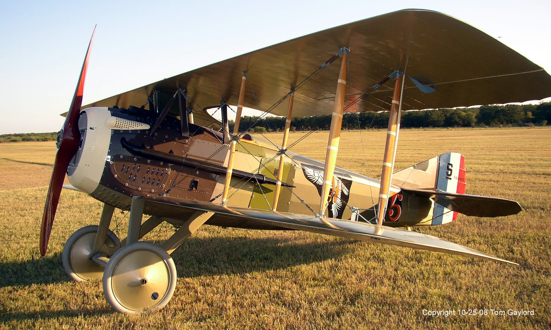 Captain Sim - SPAD S.XIII - Released - Aircraft - Microsoft Flight ...