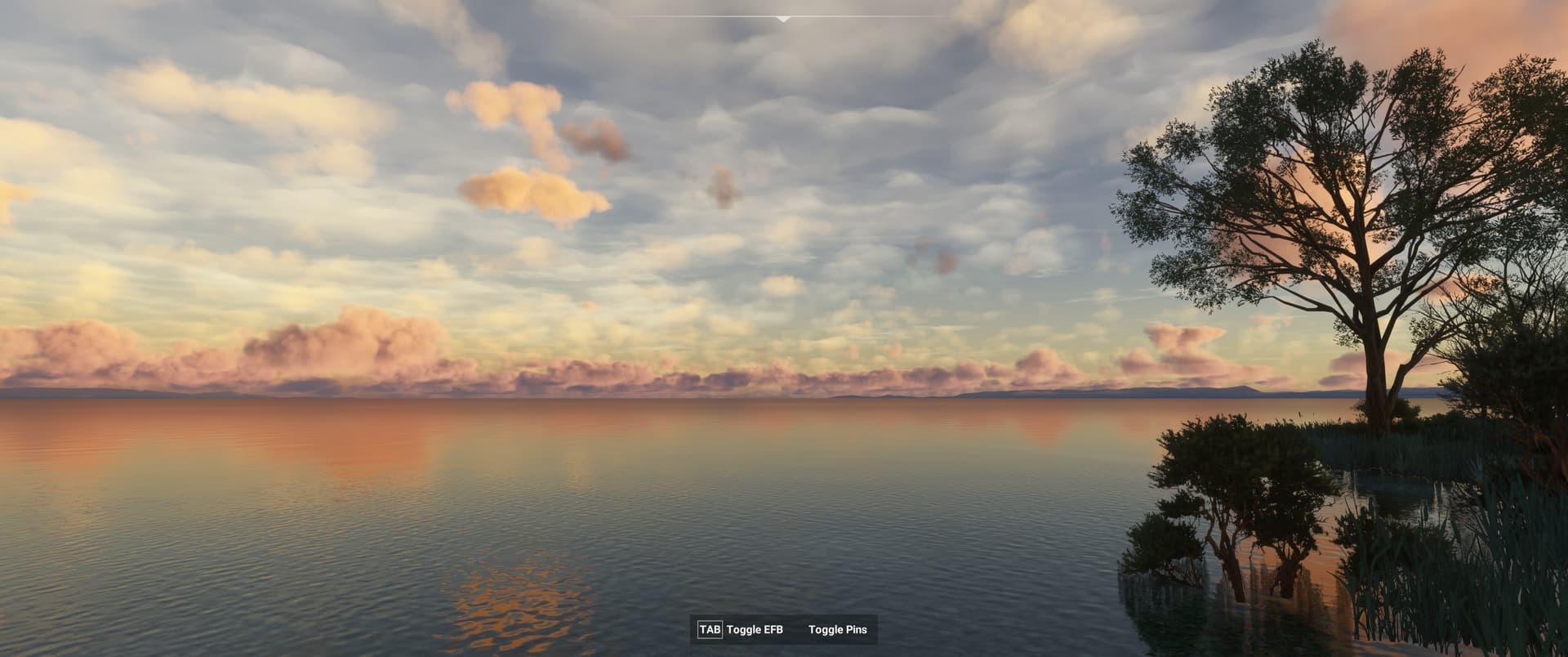 MSFS 2024 First Pics - World Photographer & Screenshots - Microsoft ...