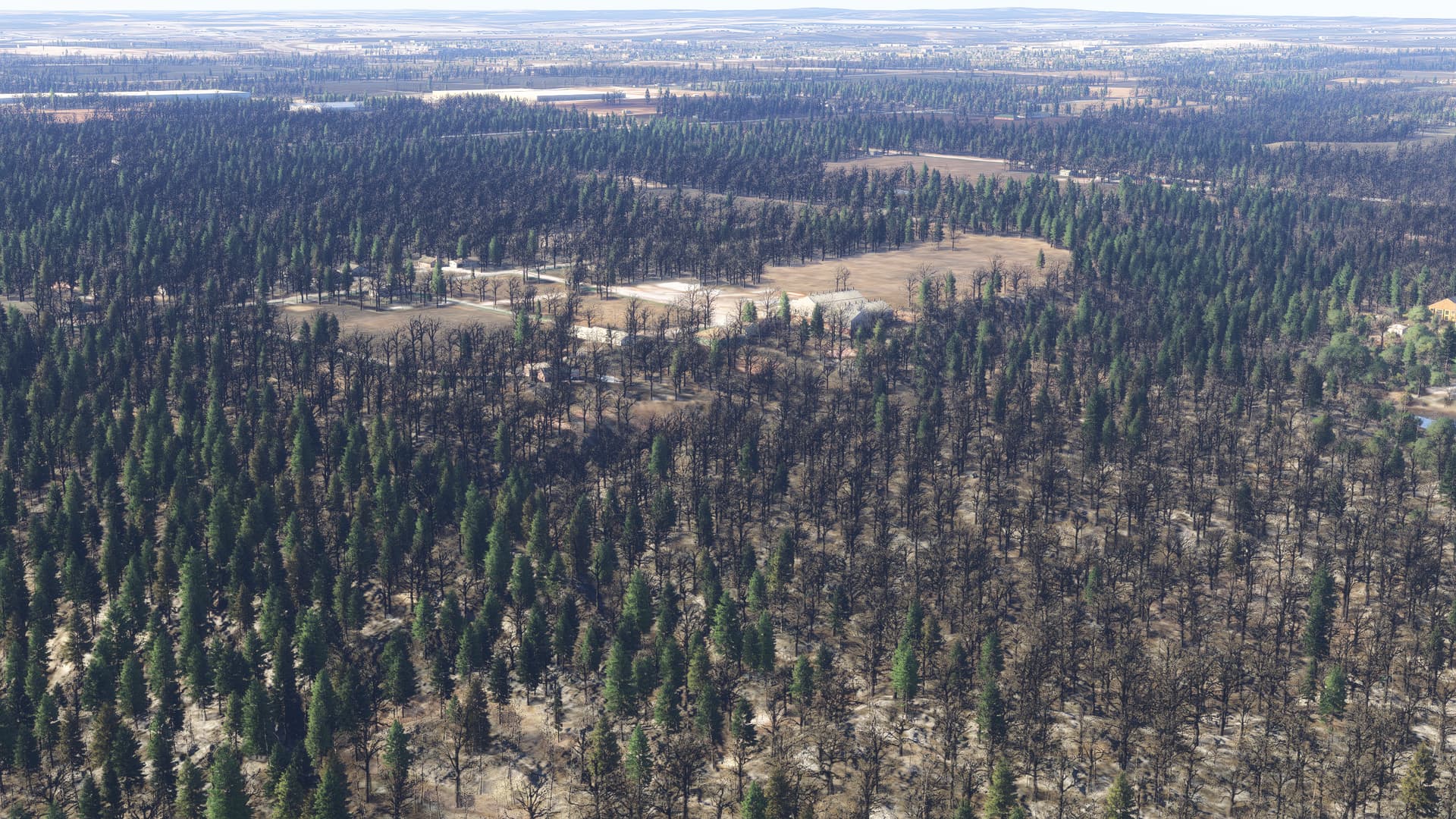 FS2024 Graphics Settings and Performance Guide (11/20/2024) - Install ...