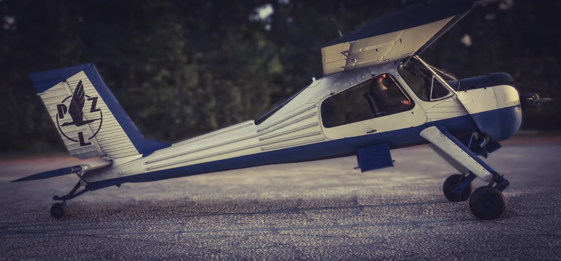 [RELEASED] Wilga 35/80 Series | Got Friends - #102 by DensestSnail693 ...