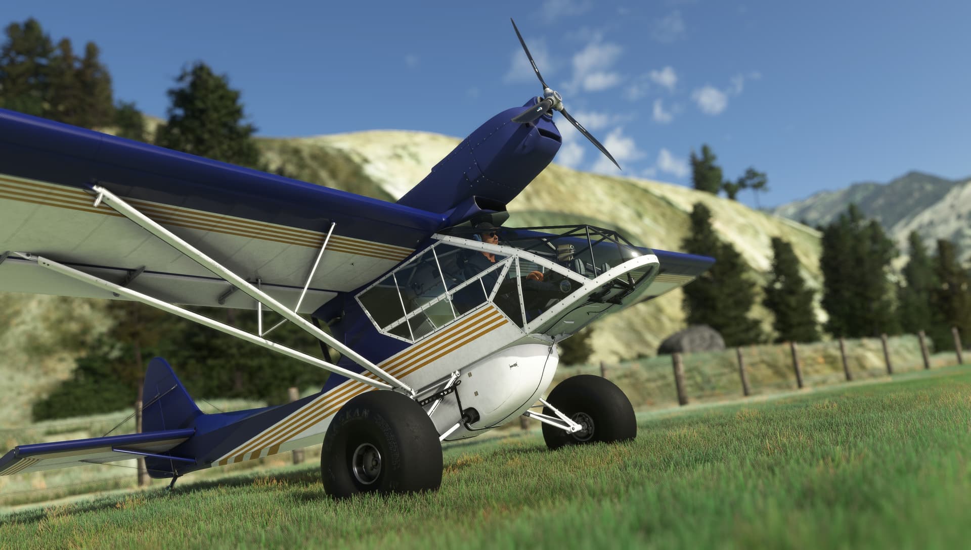 Low and slow - Best aircraft for VFR sightseeing? - Aircraft ...