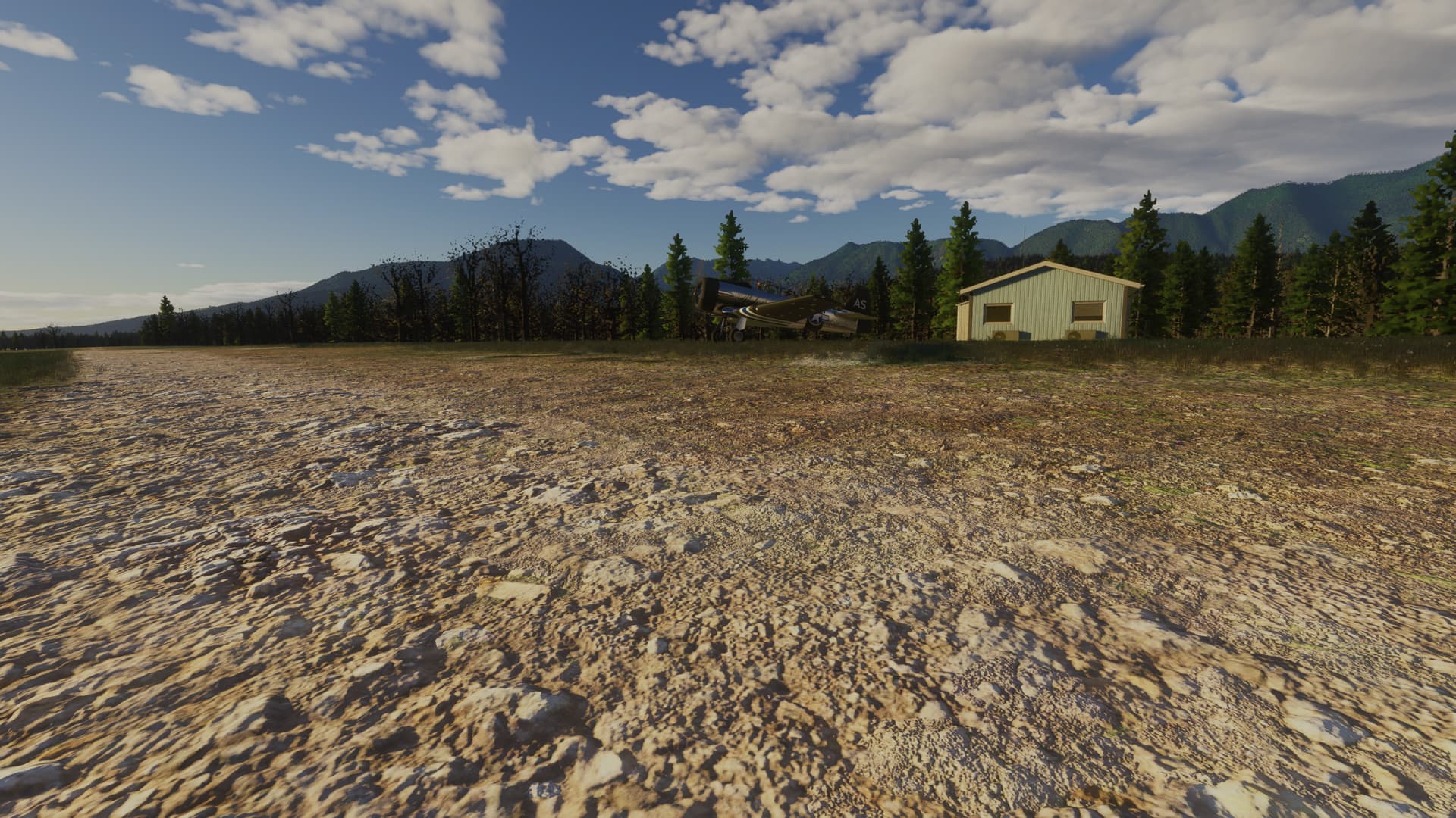 A Flight over The Olympic Peninsula in the T6 Texan - World ...