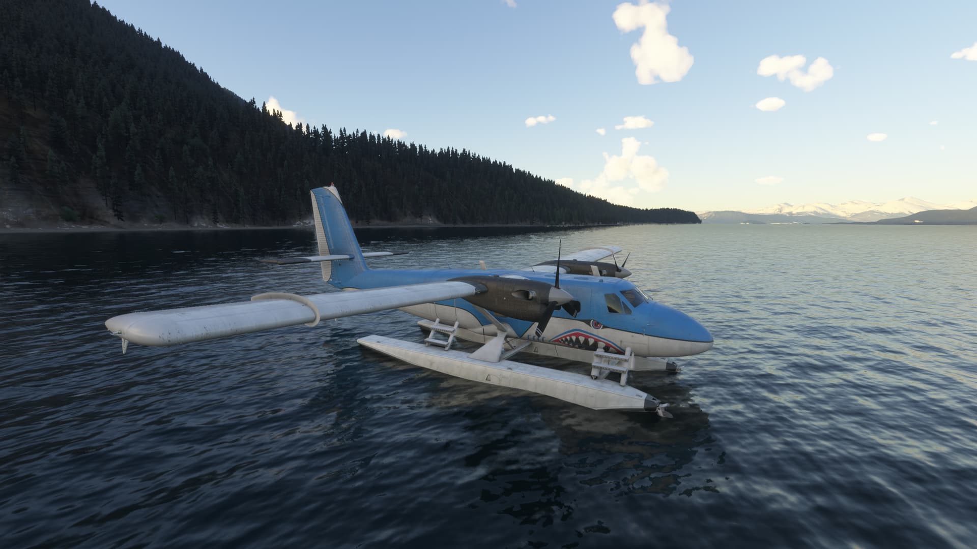 [MSFS2024] De Havilland Canada DHC-6 Twin Otter - Page 2 - Polls & Feedback - Microsoft Flight ...