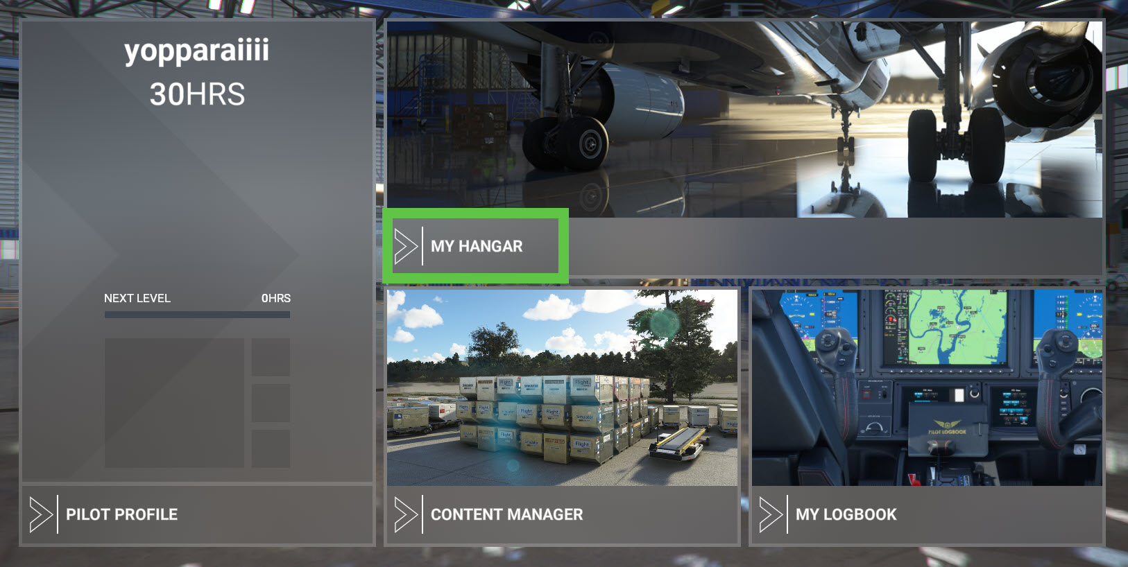Mutli Window Setup help - User Interface & Activities - Microsoft Flight Simulator Forums