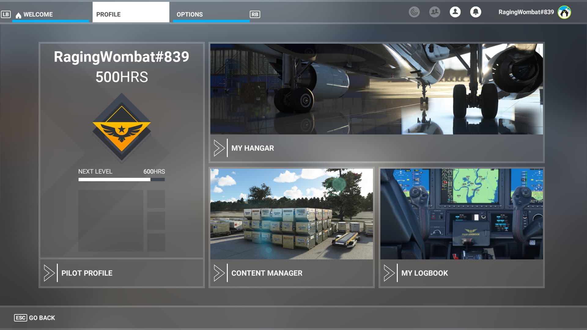 How many hours have you flown so far? - Page 33 - General Discussion - Microsoft Flight ...